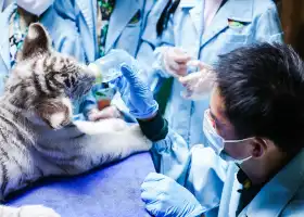 jin ling lu yu tu shu guan bei lu jiao cha kou Tickets [2025] - Promos ...