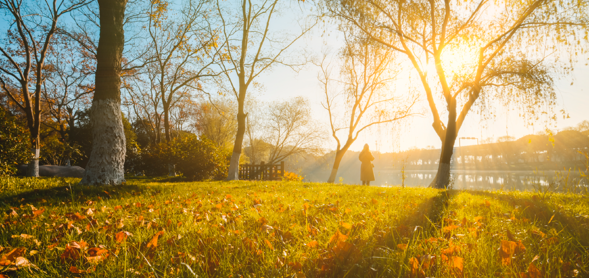 Things to do in Xiangcheng District (2025): Top nearby activities ...