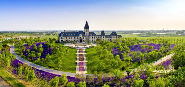 Wen'an Travel Guide 2026: Top Attractions, Things to Do & Deals | Trip ...