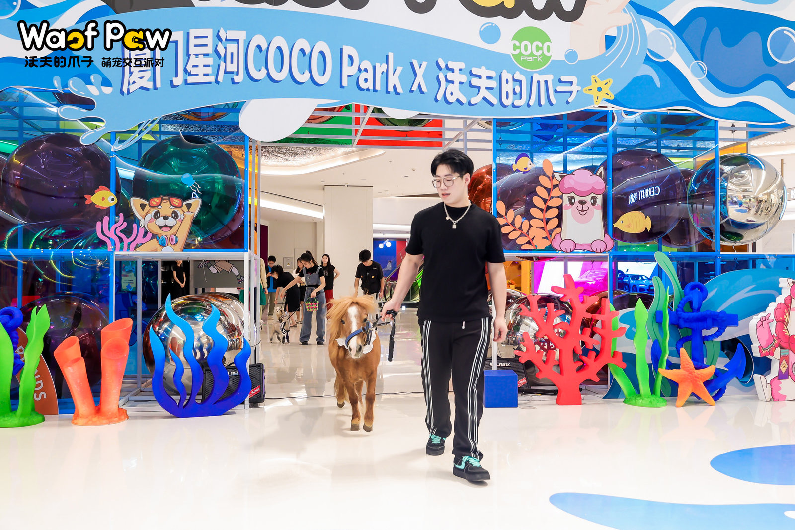 Waof Paw Interactive Pet Party (COCO Park Branch) Tickets [2026 ...