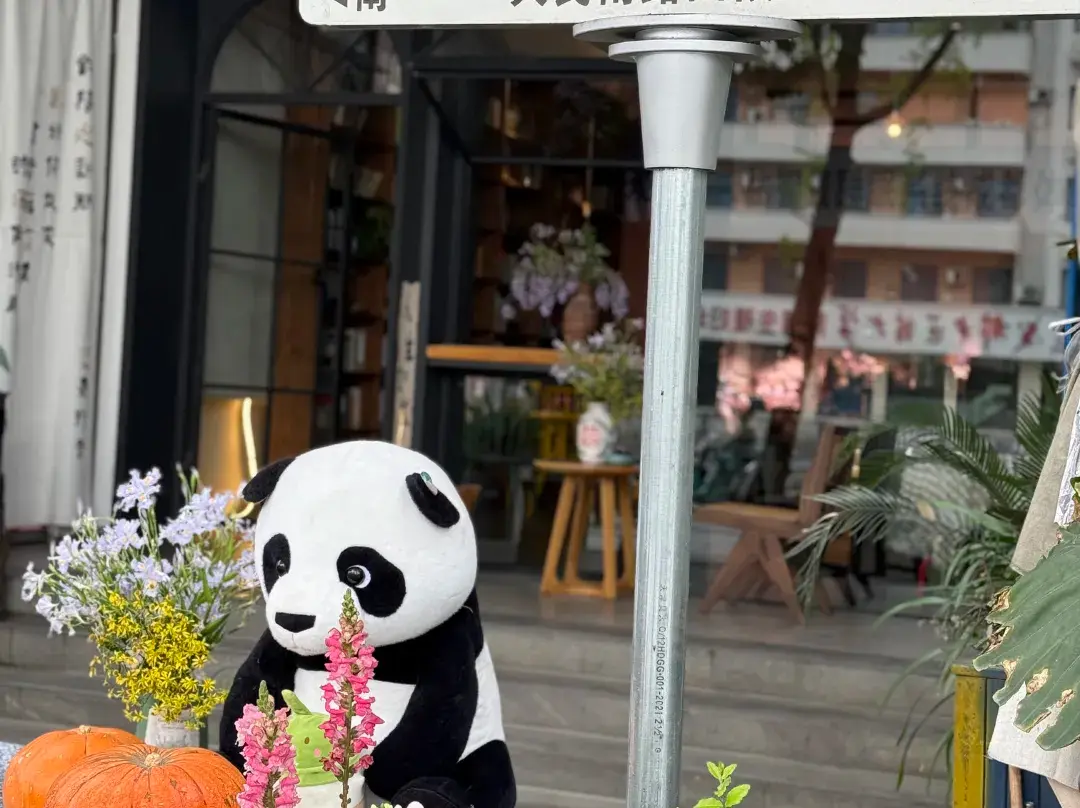 Nandu Hotel - Chengdu