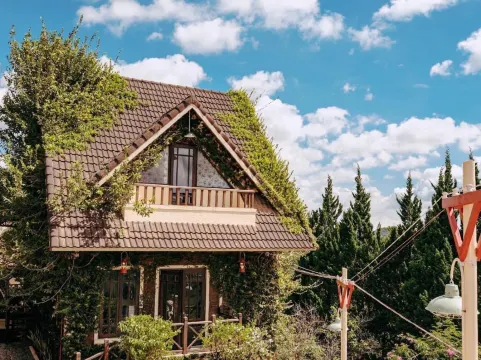 Thi Tran Co Da Lat - Dalat