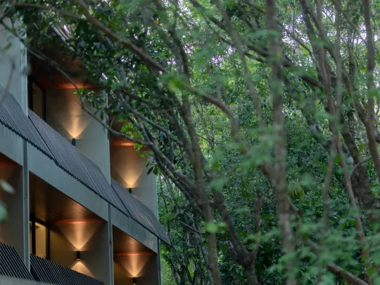 Piece Lio From Japan Managed By H Hospitality Group - El Nido