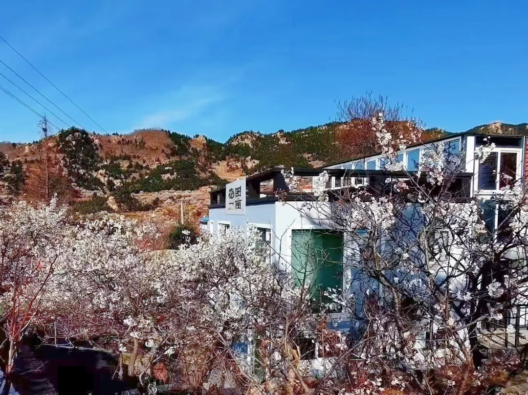 Qingdao Laoshan Huatianyimu Homestay - Qingdao