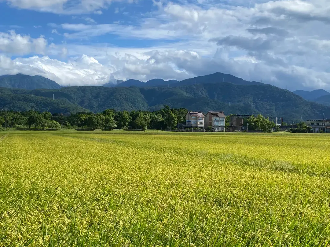Happiness Oasis Homestay - Yilan County