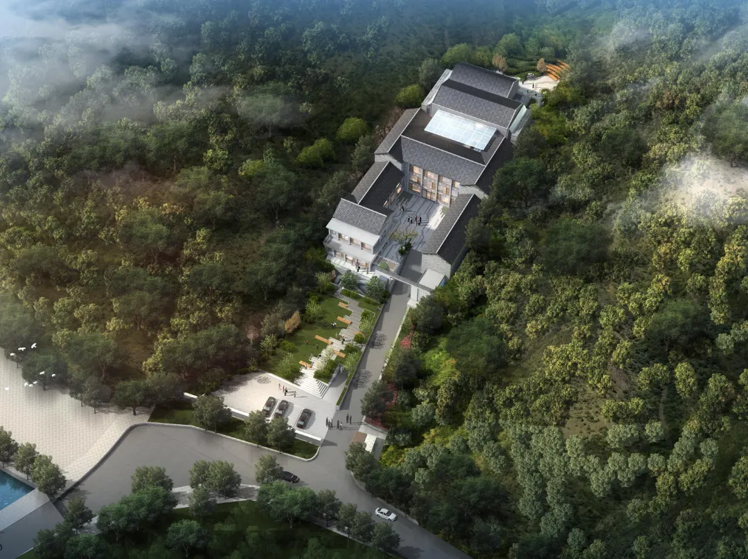 Rezen Dongshan Longyue - Luoyang