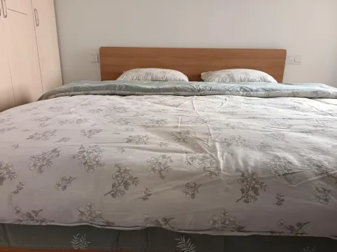 Jinhai Four Seasons Homestay - 天津