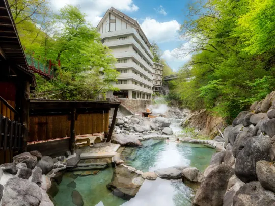 Hotel Livemax Resort Kawamata Onsen - Nikko