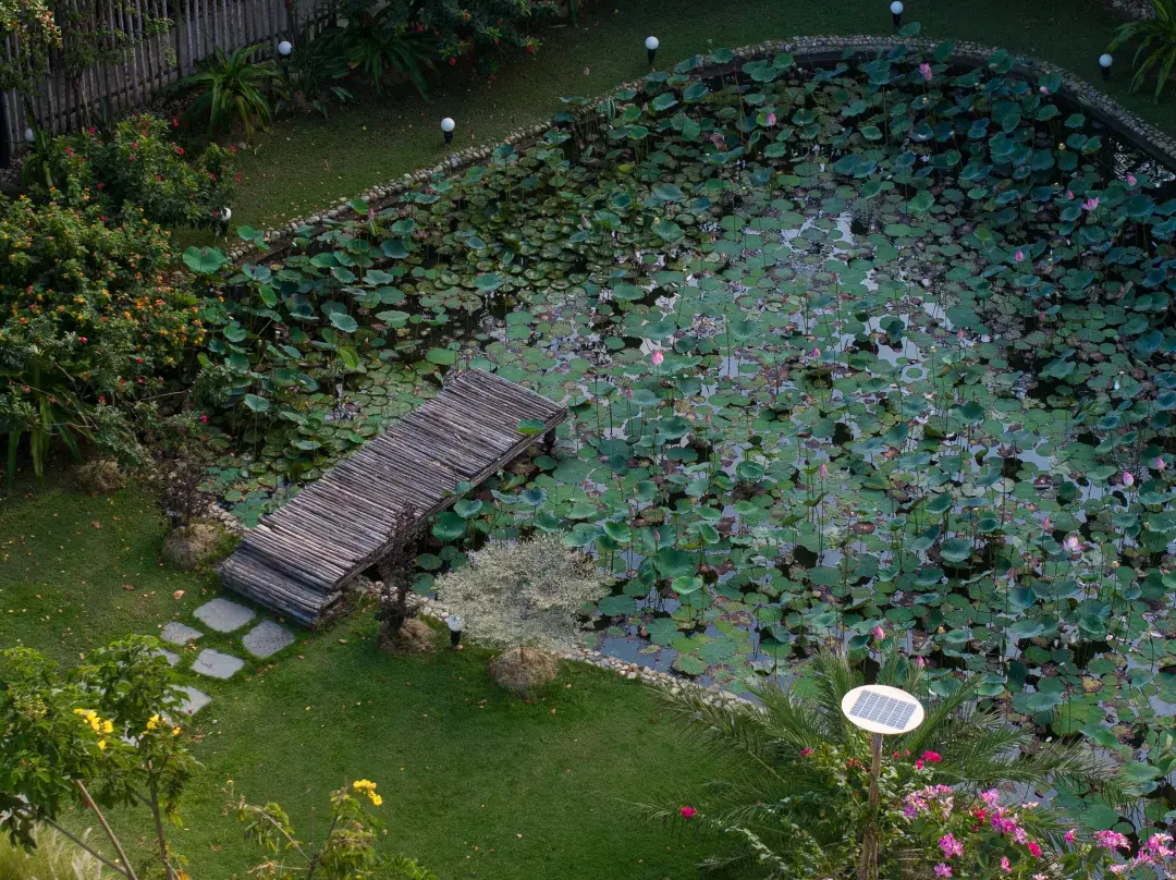 To Boutique Garden - La Gi