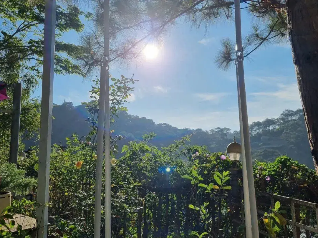 Family & Friends Homestay Đà Lạt - Dalat