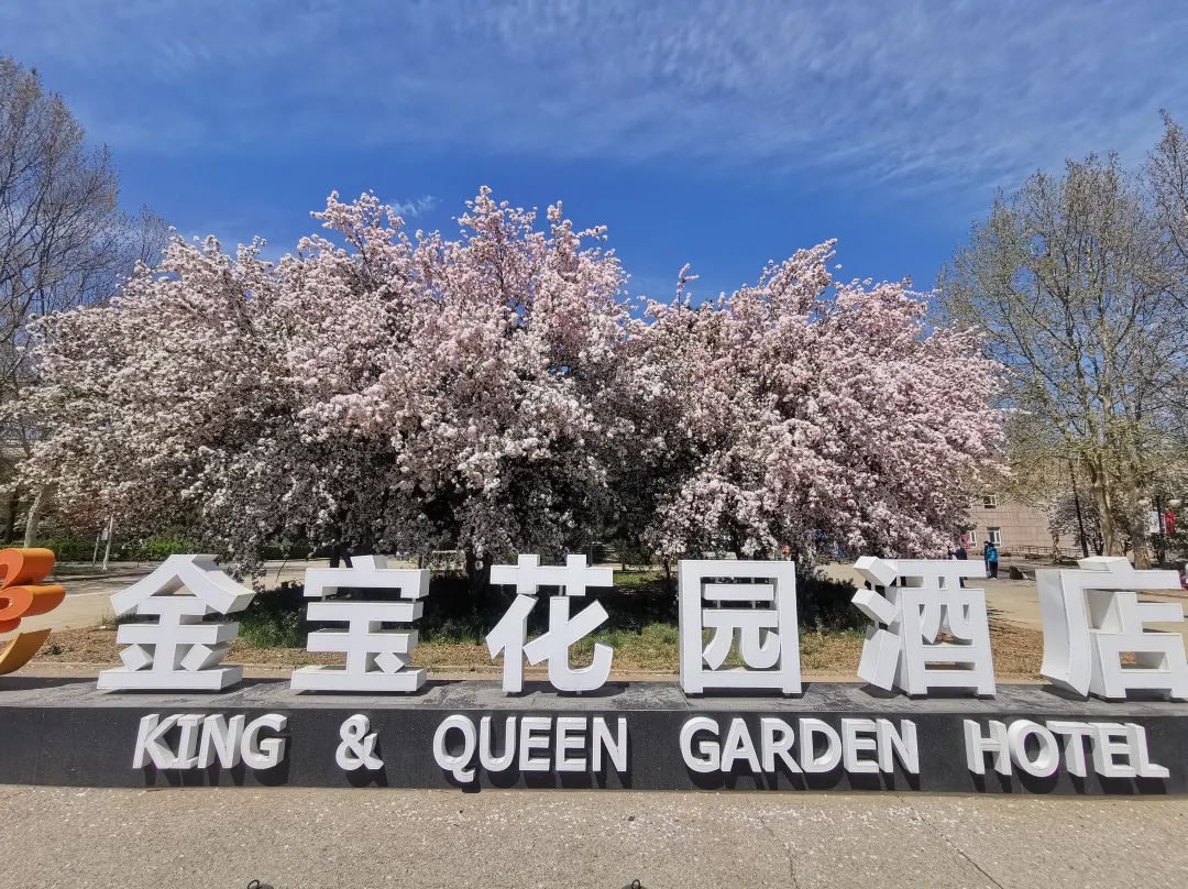 King & Queen Garden Hotel - Pékin
