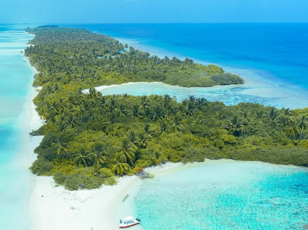 Oceana Inn Maldives - Maldives