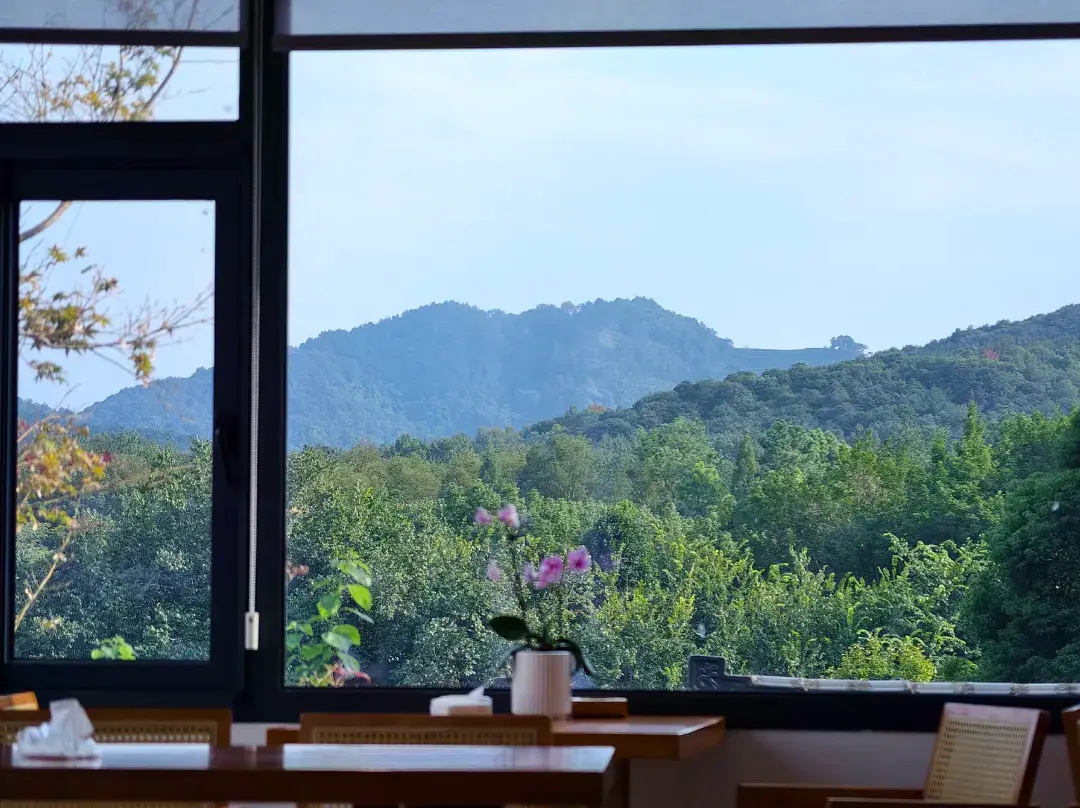 Jun Hade On Hillside - Hangzhou