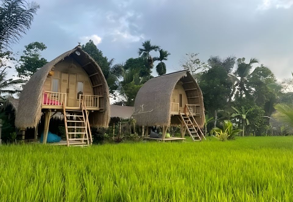 Tiny ECO Bamboo Ubud, Bali - 2026 Prices & Reviews | Trip.com