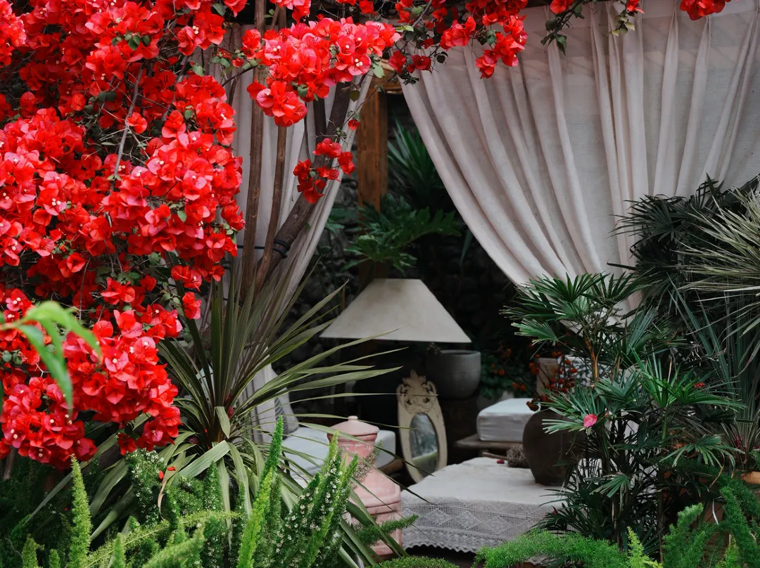 Shanxia Buzhi Hidden Luxury Hotel - 