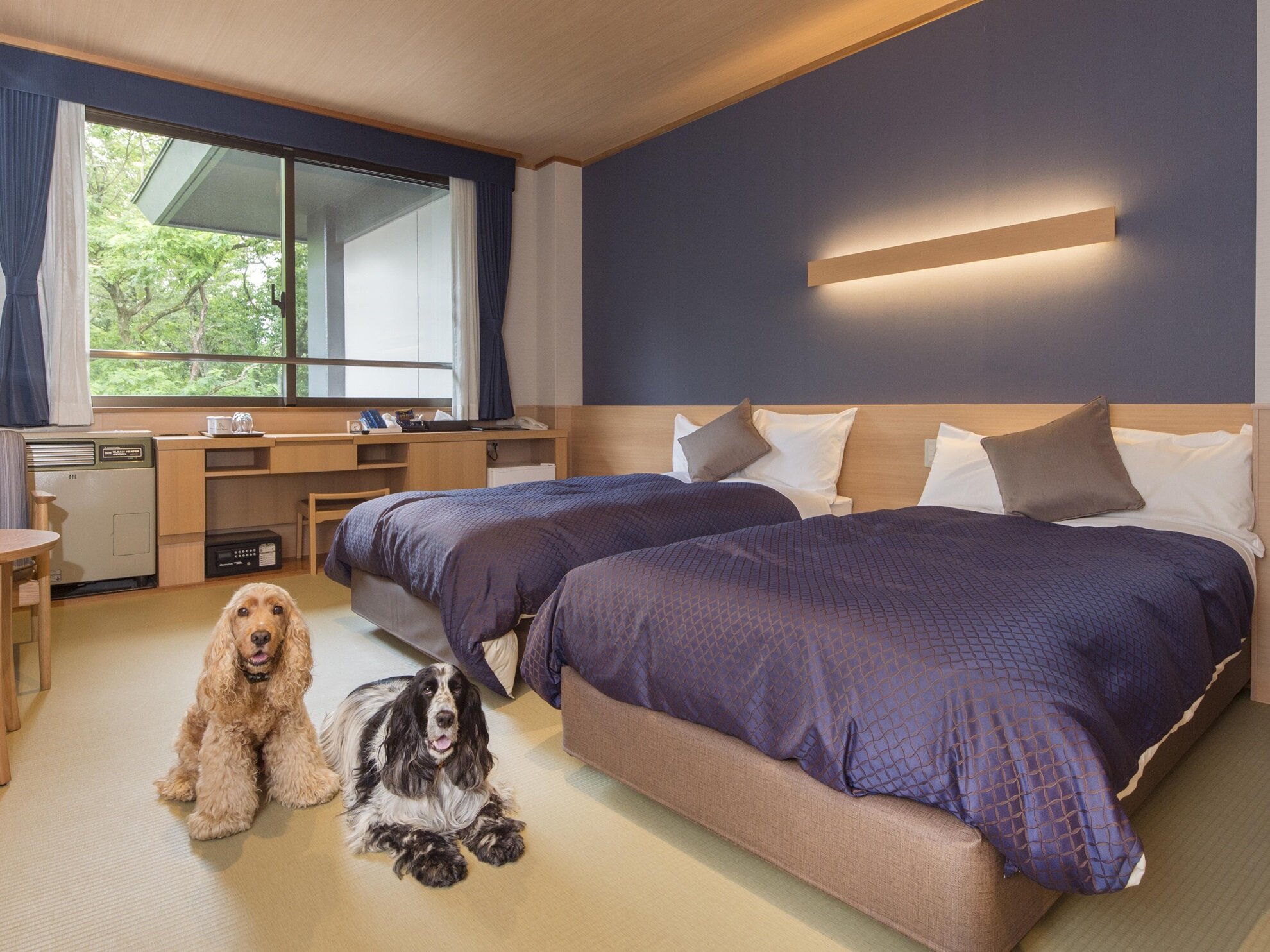 Wan's Resort 山中湖 口コミ・評判・泊まった方による7件の感想 | Trip.com