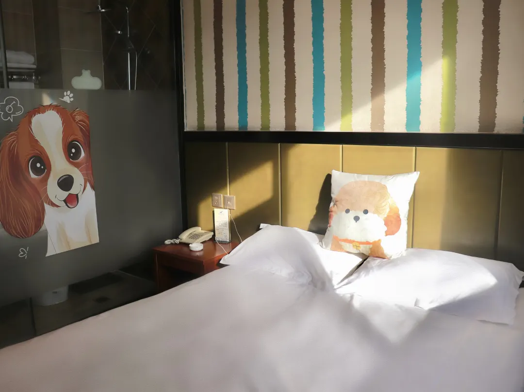 Zhengzhou Wangmiao Warm House Pet-friendly Themed Homestay - Zhengzhou