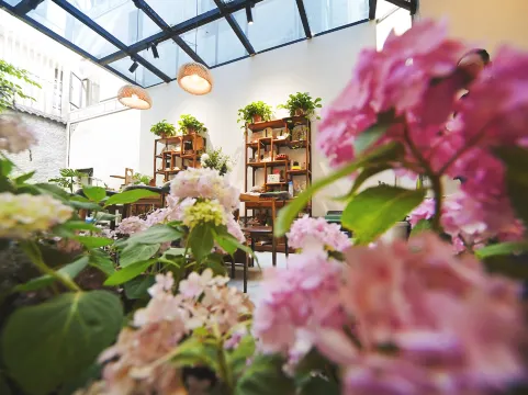 Yuyou My Heart | White Walls And Black Tiles · Yijing Boutique Stay - Dali