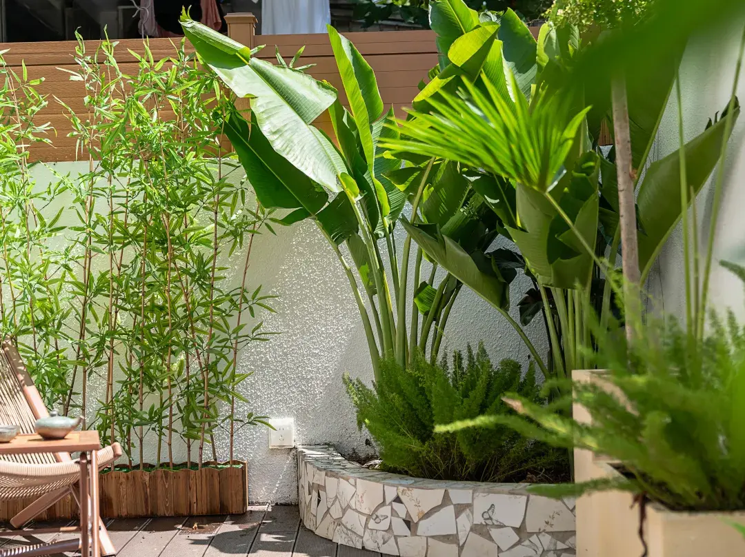 Nan Feng Ju Homestay - Hangzhou