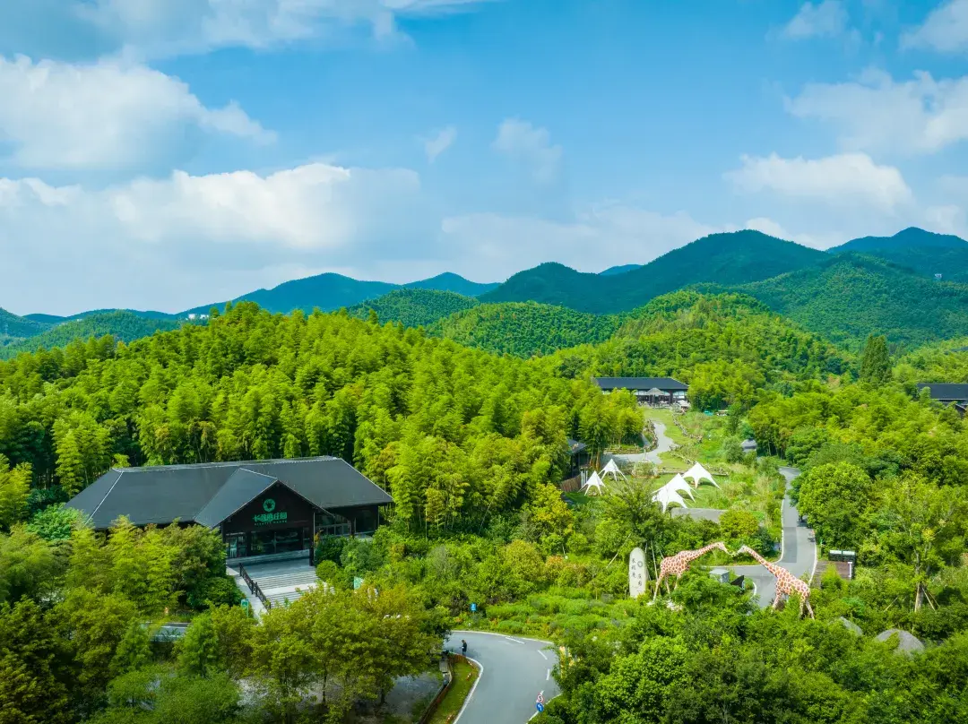 Giraffe Manor Hotel - Huzhou