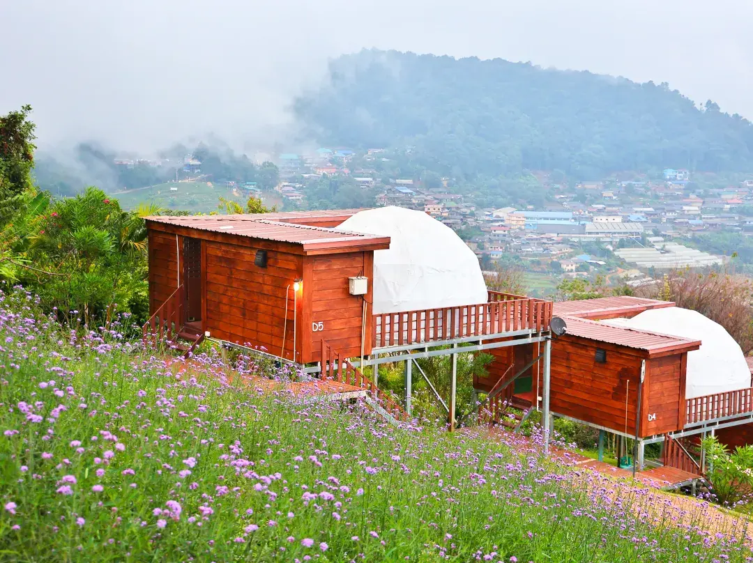 Raisuayang - Chiang Mai