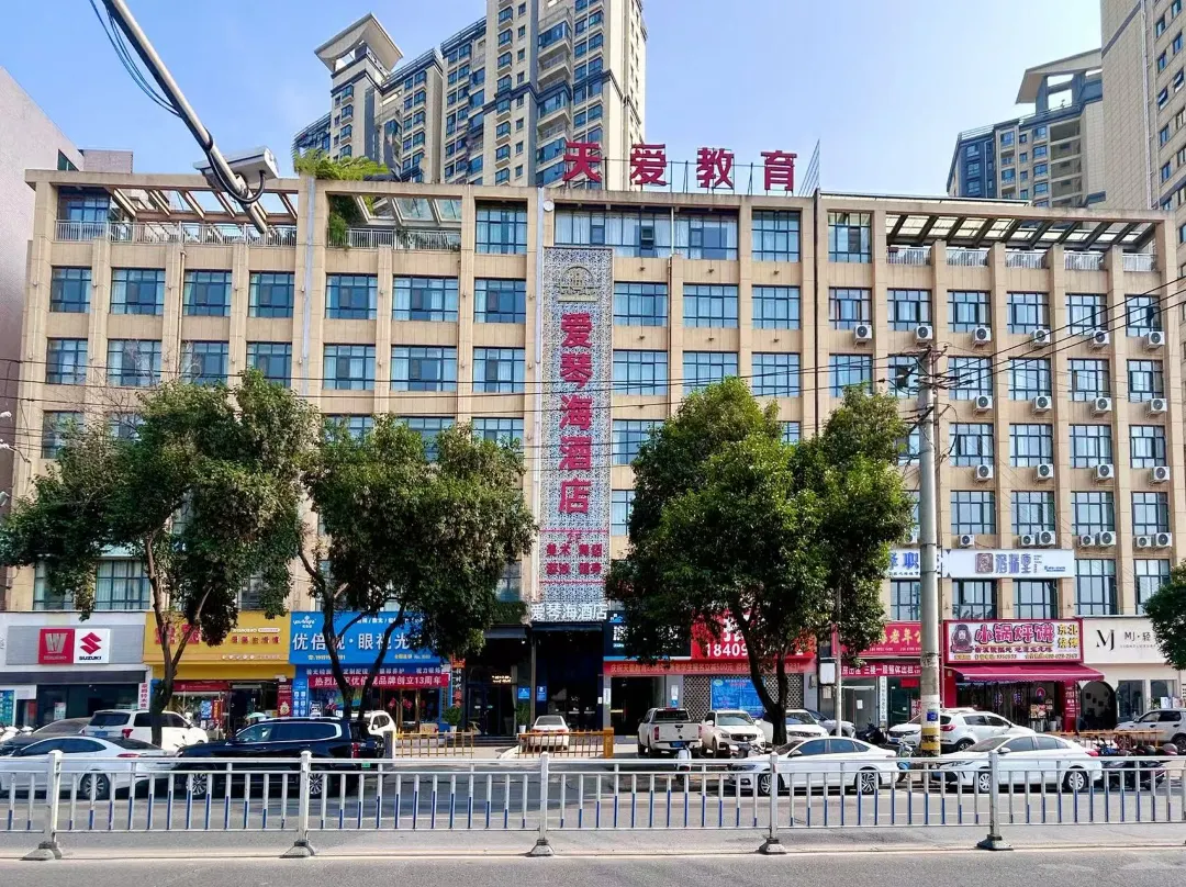 Aegean Hotel - Ankang