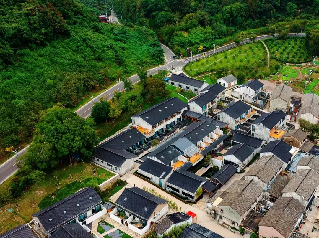 Ningbo Taolu Scholars Hotel - Ningbo