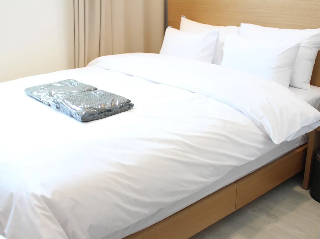 Ion Hotel Dongdaemun - Seul