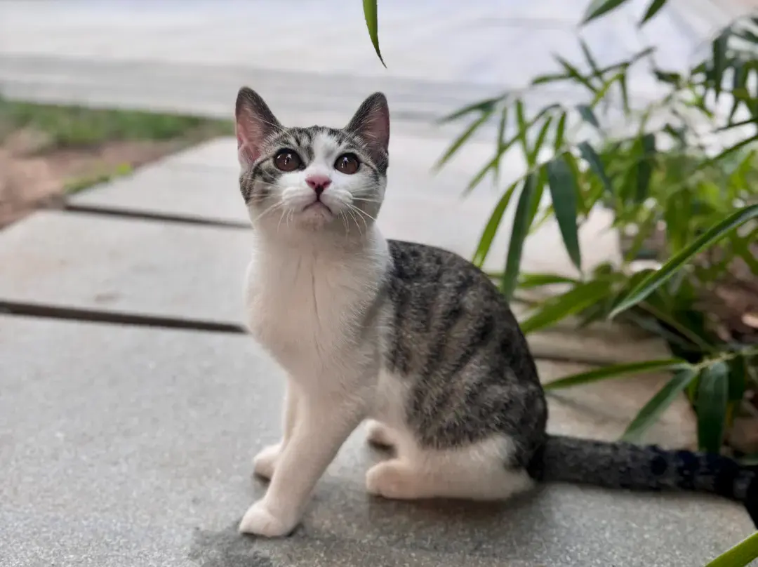 Grand Metropark Jinhai Lake Hotel - Beijing