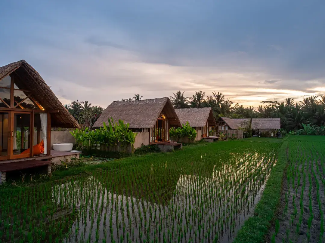 Pondok Mawas - Ubud
