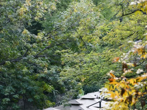 Zhi Resort - Beijing