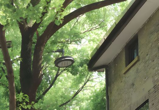 Youmi · Serene · Jiudu Alley | Quiet Evening Homestay (Old Town Center ...