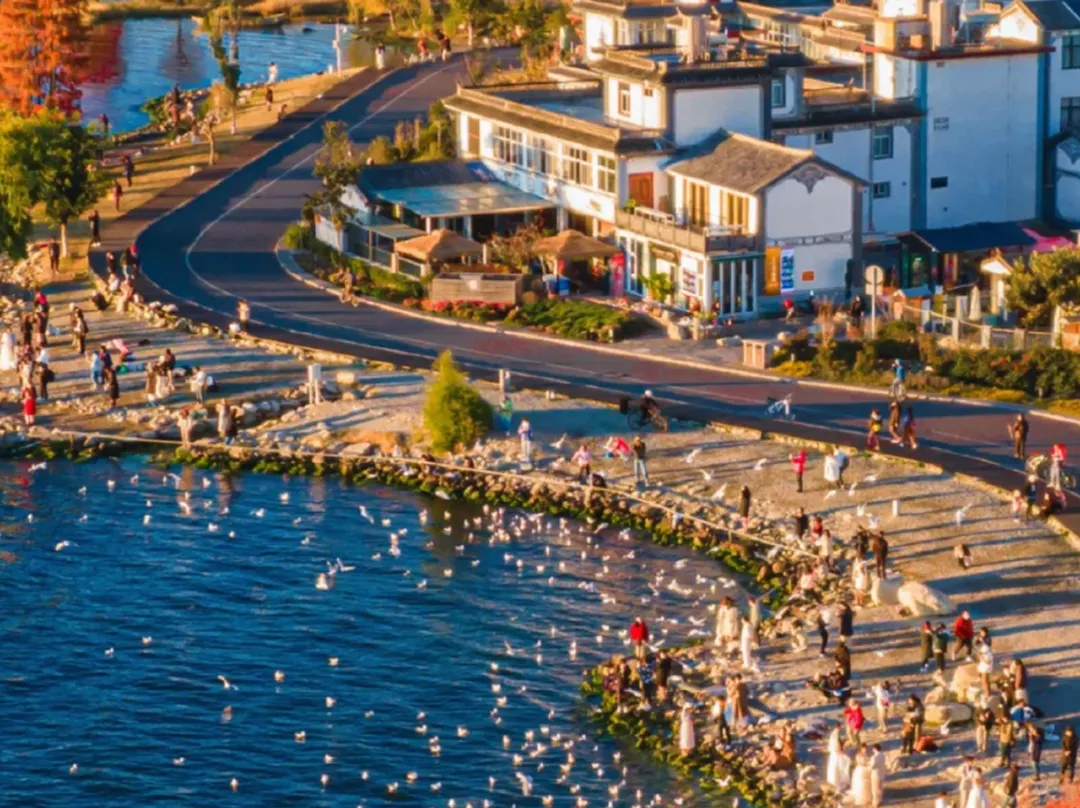 Dali Folk Custom Small Building Erhai Lake Homestay - Dali