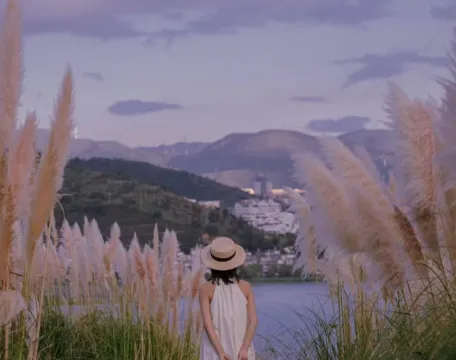 Ziyan·yiju|dali·holiday·hotel·shejijiudian - Dali