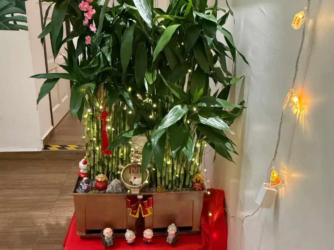 Jade Guesthouse Jonker Melaka - Malacca