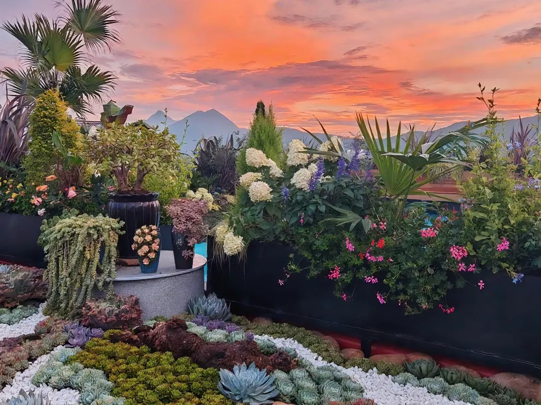 Puyating · Rizhao Jinshan Snow Mountain View | Sky Garden Resort Hotel - Lijiang