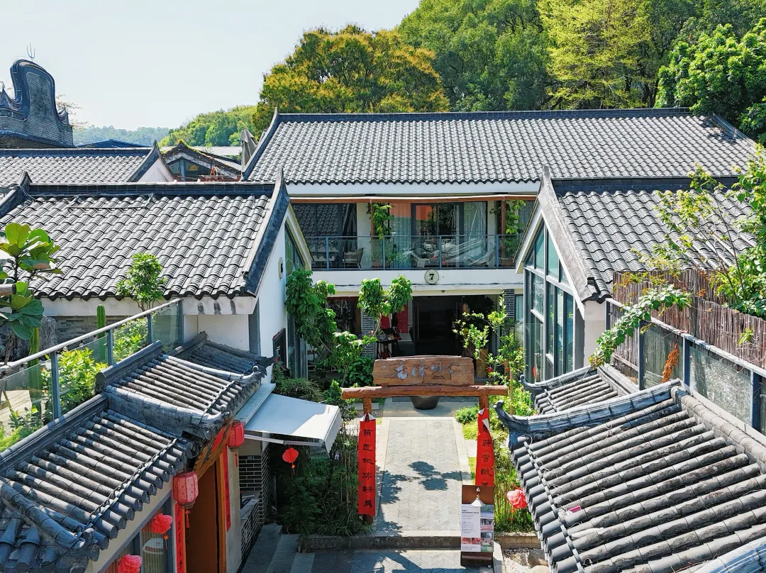 Under The Camphor Tree Guesthouse - 深圳市