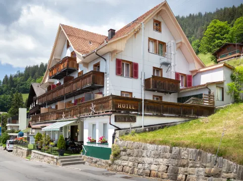 Hotel Sterne - Beatenberg