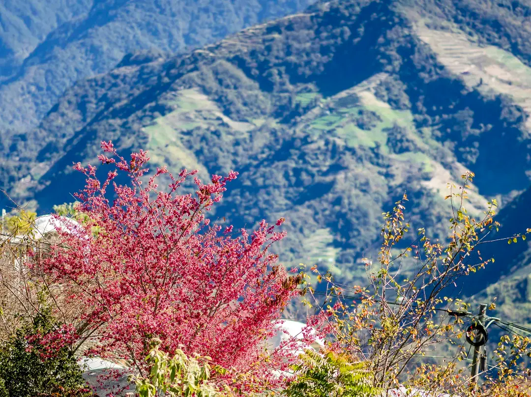 Water Swing B&b - 허핑 구
