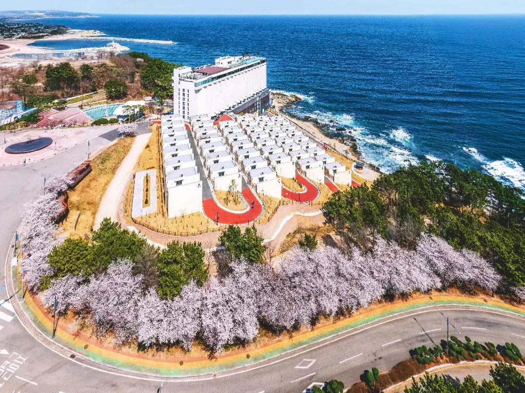 Panaq Operated By Sono - 장량동