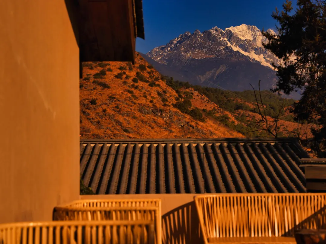 Deep Green · Catalpa Forest Oxygen Bar · Luxury Tree House In The Wild - Lijiang