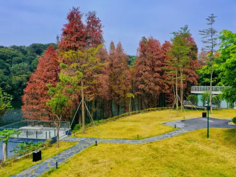 Xinsu 24li Resort - Foshan