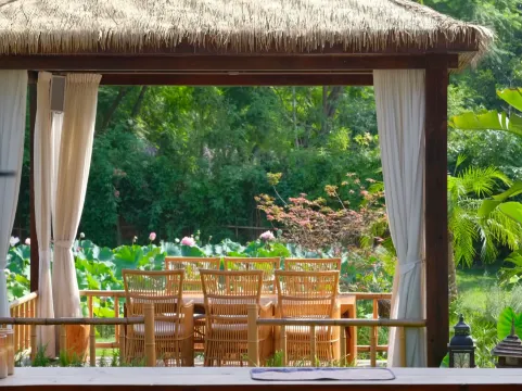 Meilan Meilu · Forest  Healing  Guesthouse - Chengdu