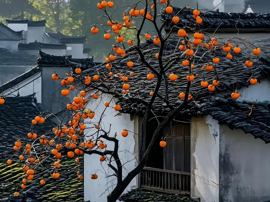 Dali Shishi Rugao Inn - 大理市