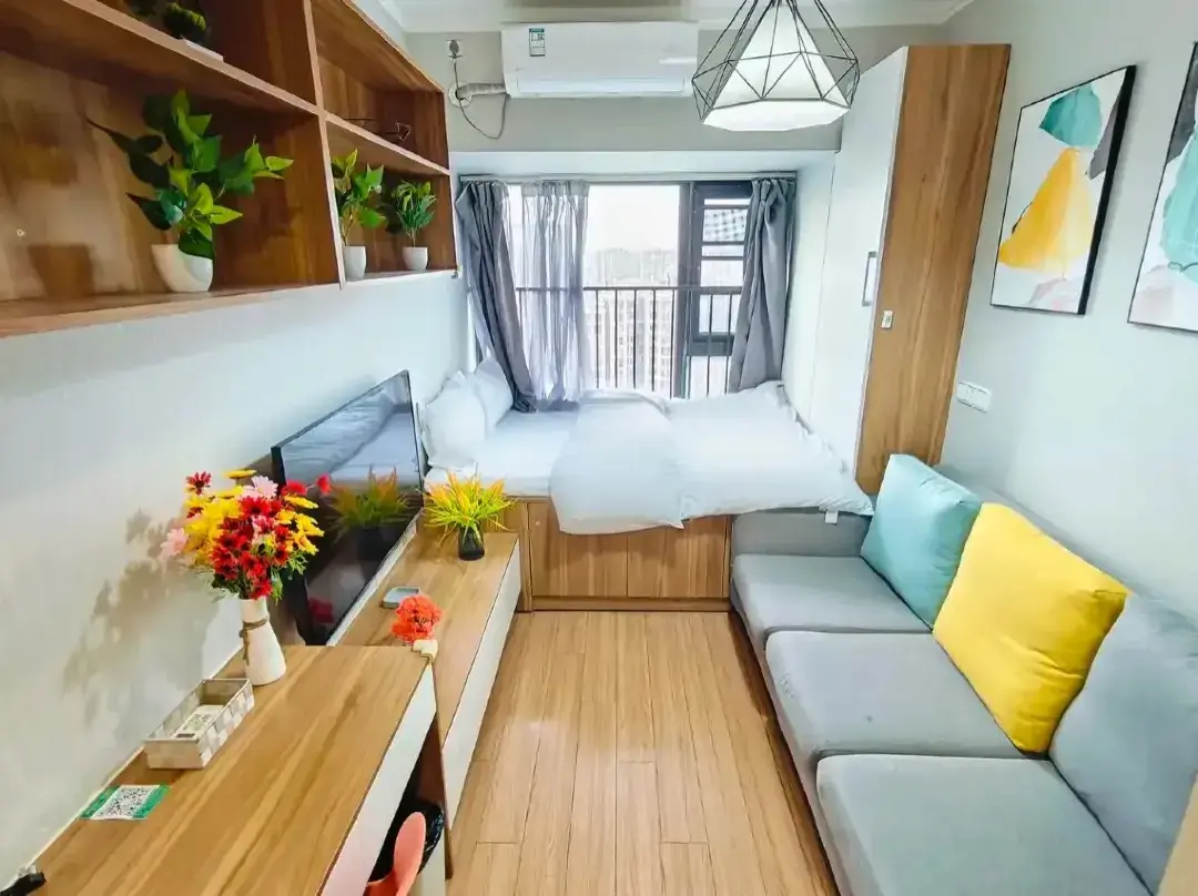Xing Orange Tree - Zhengzhou