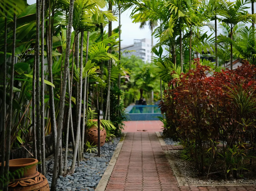 Tropical Resort Langkawi - Pantai Cenang