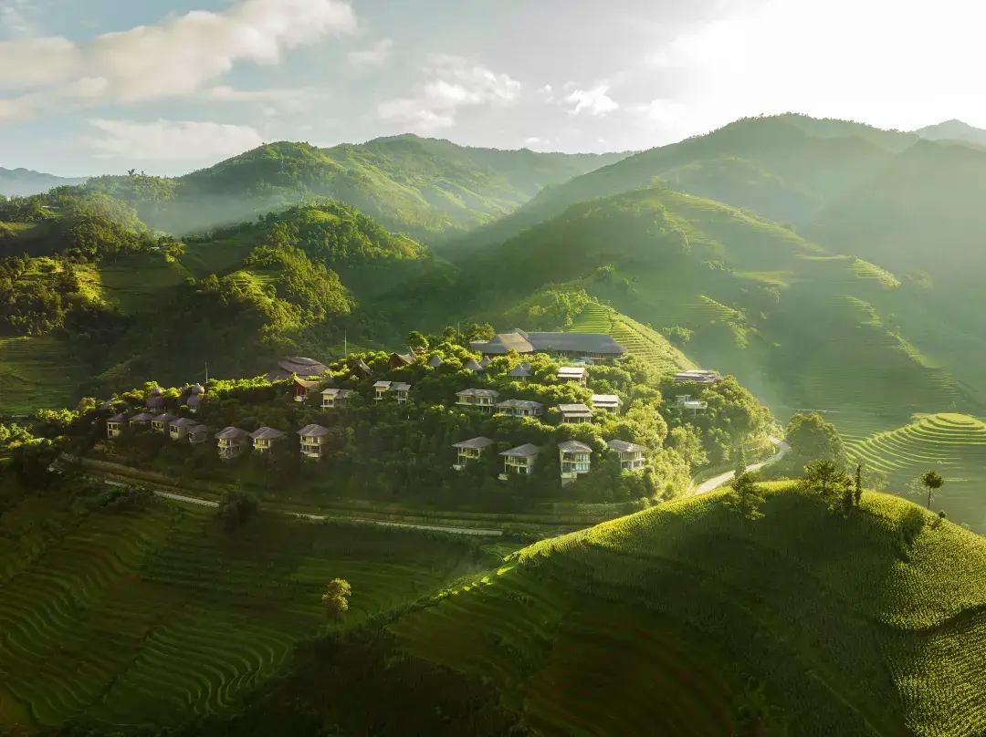 Garrya Mu Cang Chai - Tỉnh Yên Bái