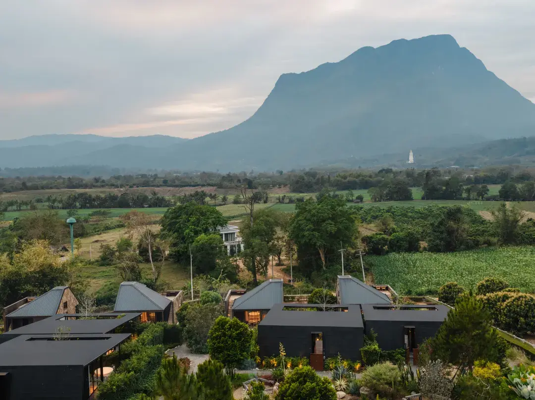 The Campian - Chiang Dao
