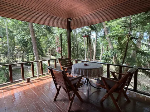 Deniz’s Zen Forest - Ko Pha-ngan