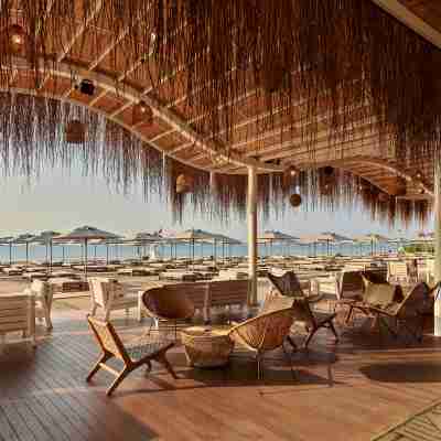 Latest Lara Barut Collection - All Inclusive Map,Address, Nearest ...